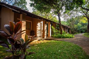 Avurudu – Sigiriya Village Hotel