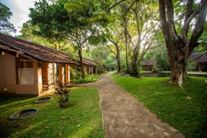 Avurudu – Sigiriya Village Hotel