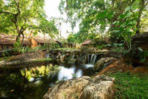 Avurudu – Sigiriya Village Hotel